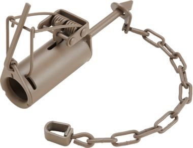 Dog Proof Traps - Trapping Today