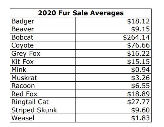 Utah Fur Auction Results, February 2020 - Trapping Today
